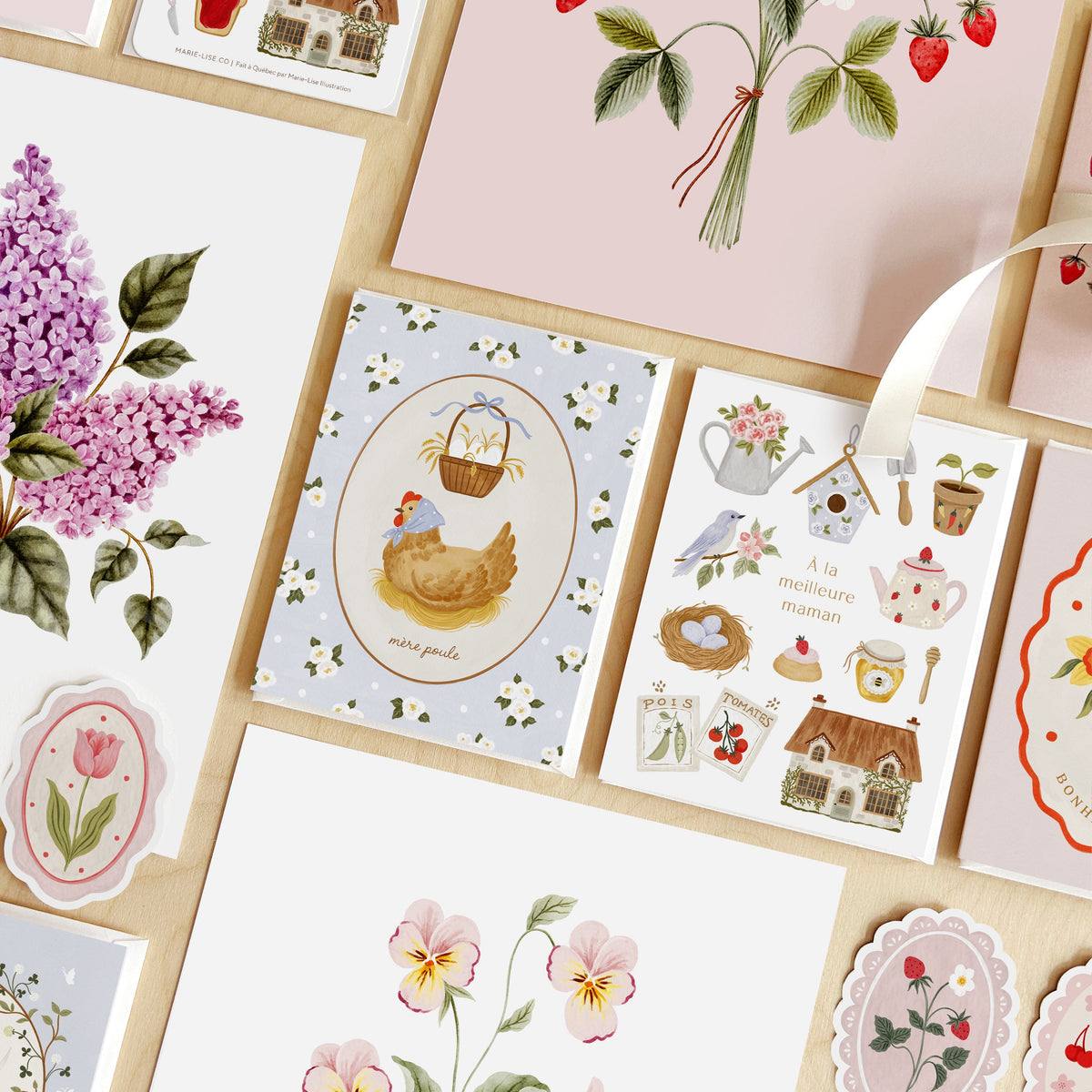 Nouveautés – Marie-Lise Illustration
